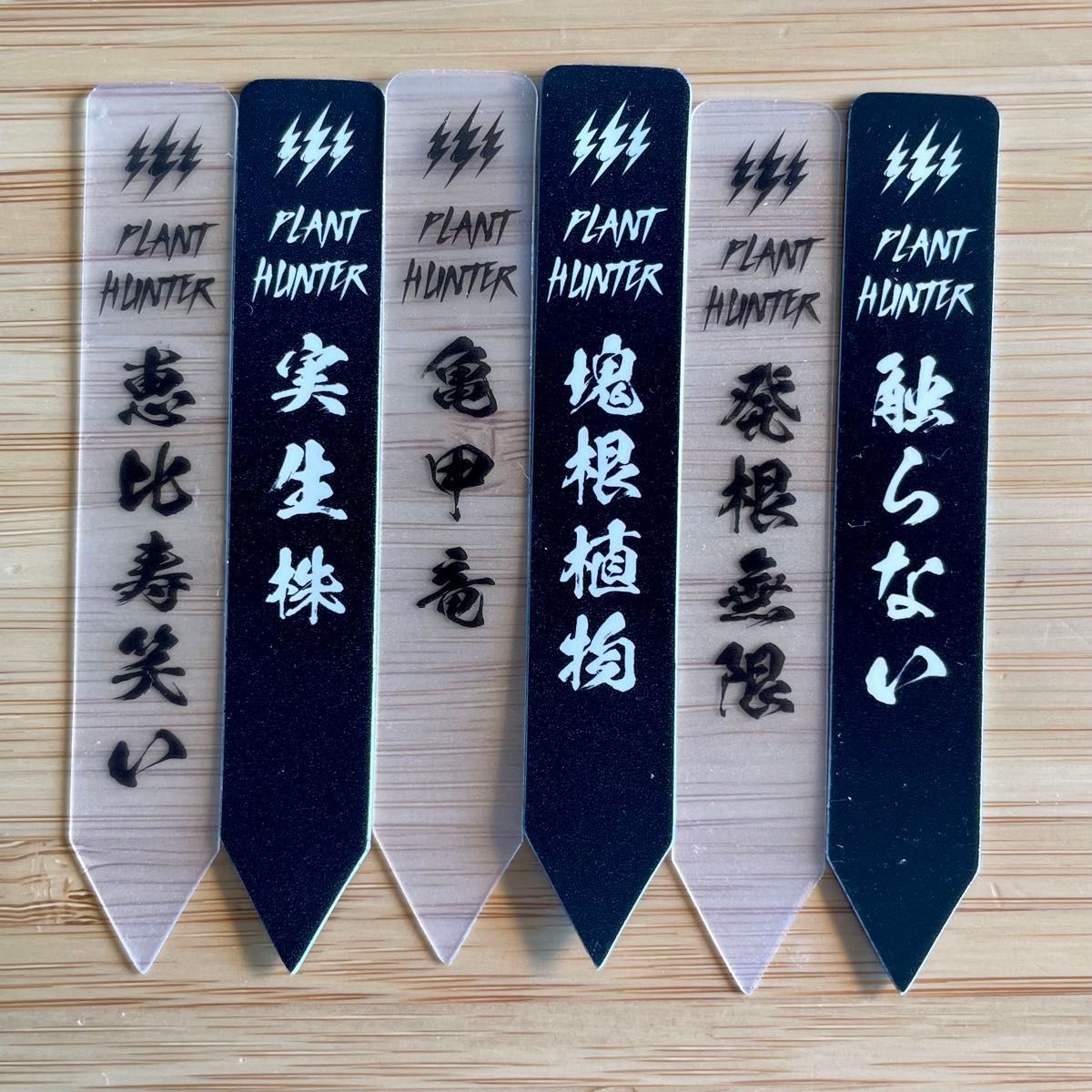 【最安値/おまけ付】 陶器鉢 ハンドメイド 塊根植物 多肉植物 a15｜Yahoo!フリマ（旧PayPayフリマ）