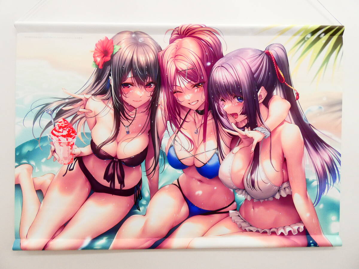 Yahoo!オークション - LF2/ピロ水 メロンブックス はにかみ 彼女は恋を...