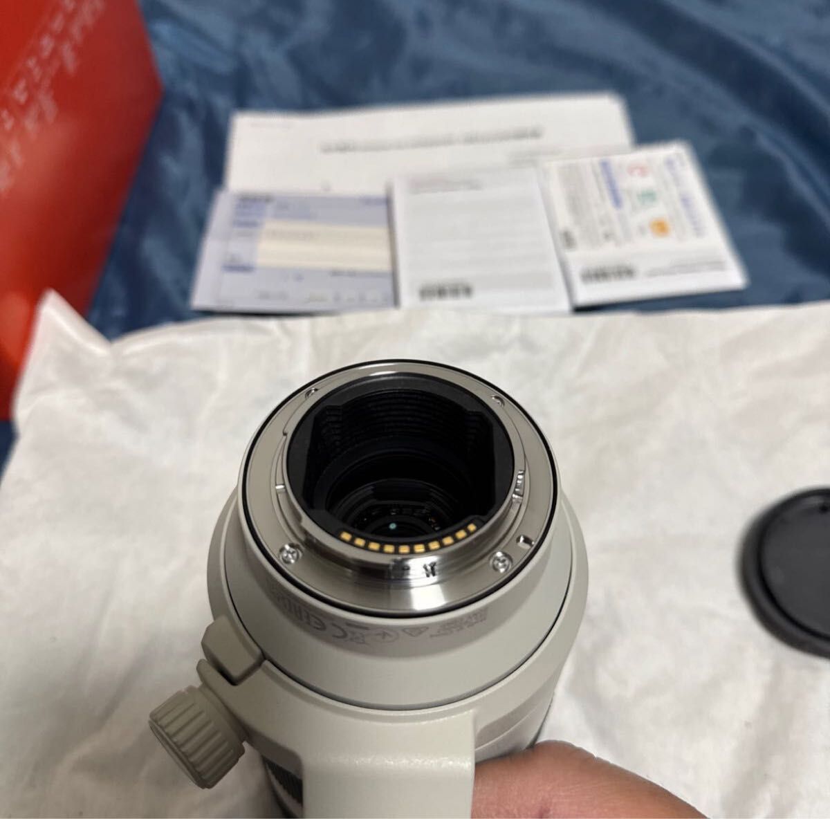 ほぼ新品 メーカー保証と純正フィルター付き SONY SEL70200G2 ほぼ新品 メーカー保証と純正フィルター付き SONY SEL70200G2