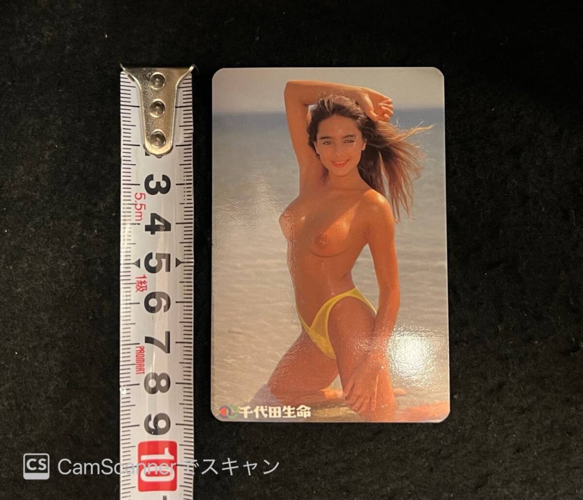 日本代購代標第一品牌【樂淘letao】－【503ポケットカレンダー】千代田生命 1984.4-1984.9 洋ピン