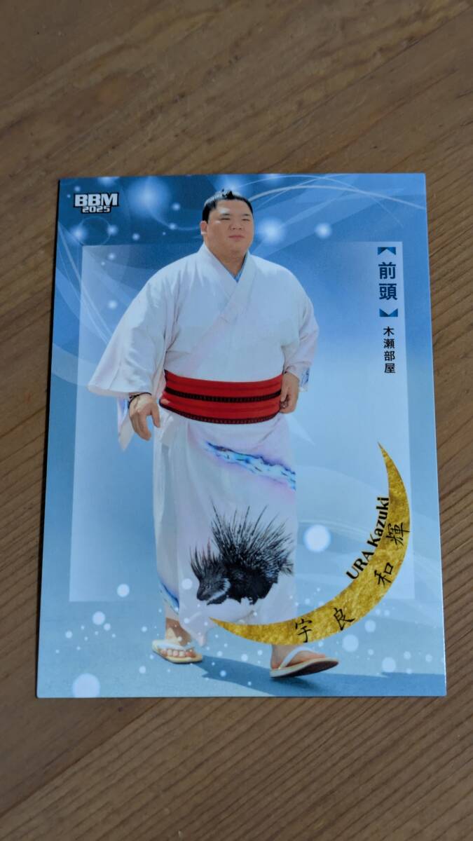 Yahoo!オークション - 宇良 2025 BBM 和 レギュラー #16 大相撲カード