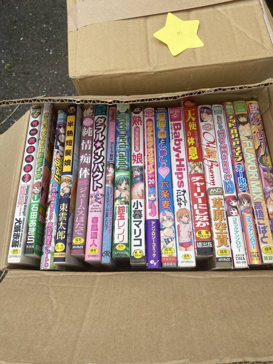 Yahoo!オークション - お得 成年コミック まとめ セット お楽しみ