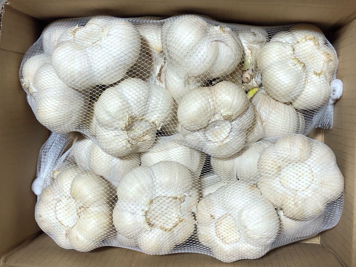 Yahoo!オークション - 青森県産 にんにく 2L 2kg 発芽 ②