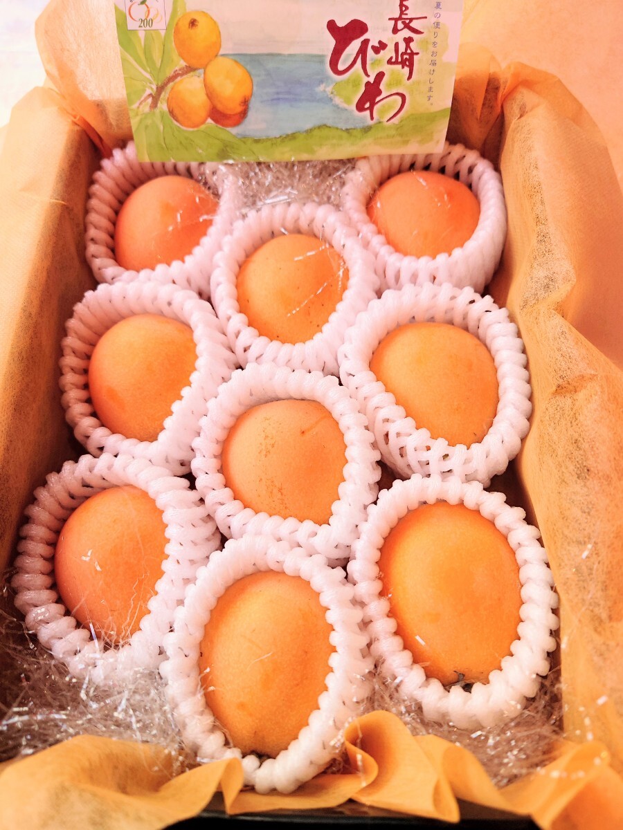 Yahoo!オークション - 長崎特選茂木びわ 2L 約500g 9粒 贈答用 御祝 内...