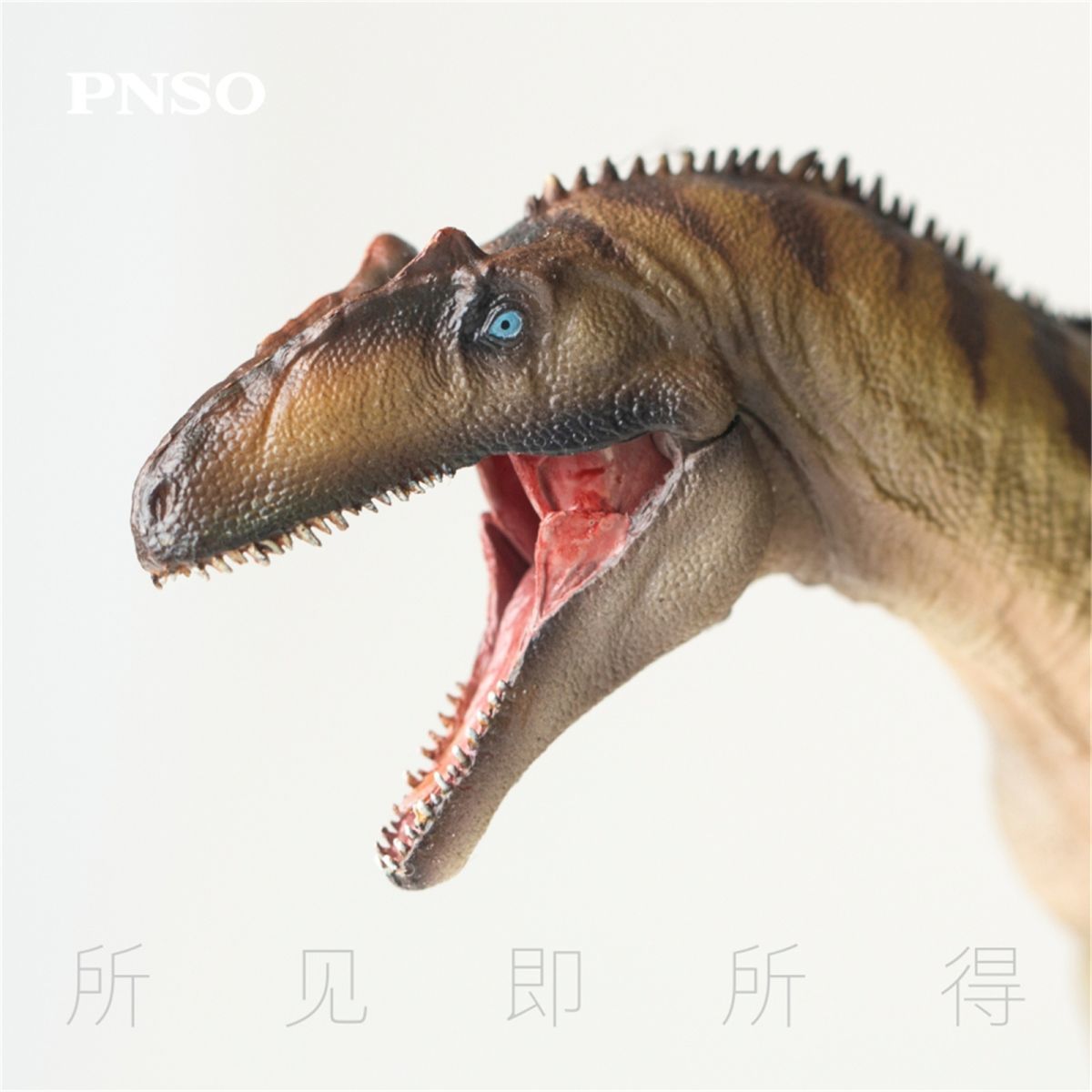 Yahoo!オークション - PNSO 成長シリーズ アロサウルス 恐竜 動物 フィ...