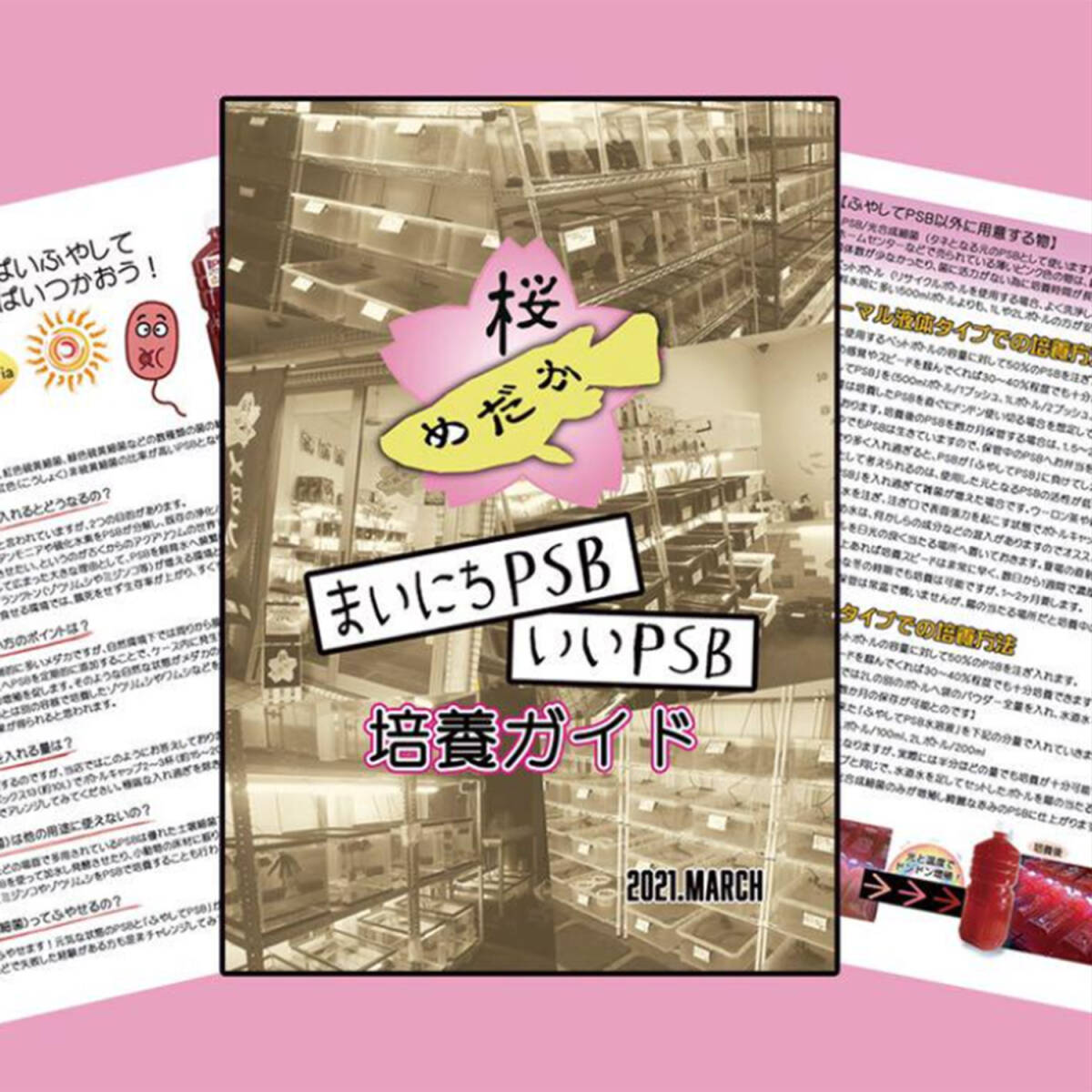 Yahoo!オークション - 【桜めだか培養】高濃度PSB 2L + ふやしてPSB 20...