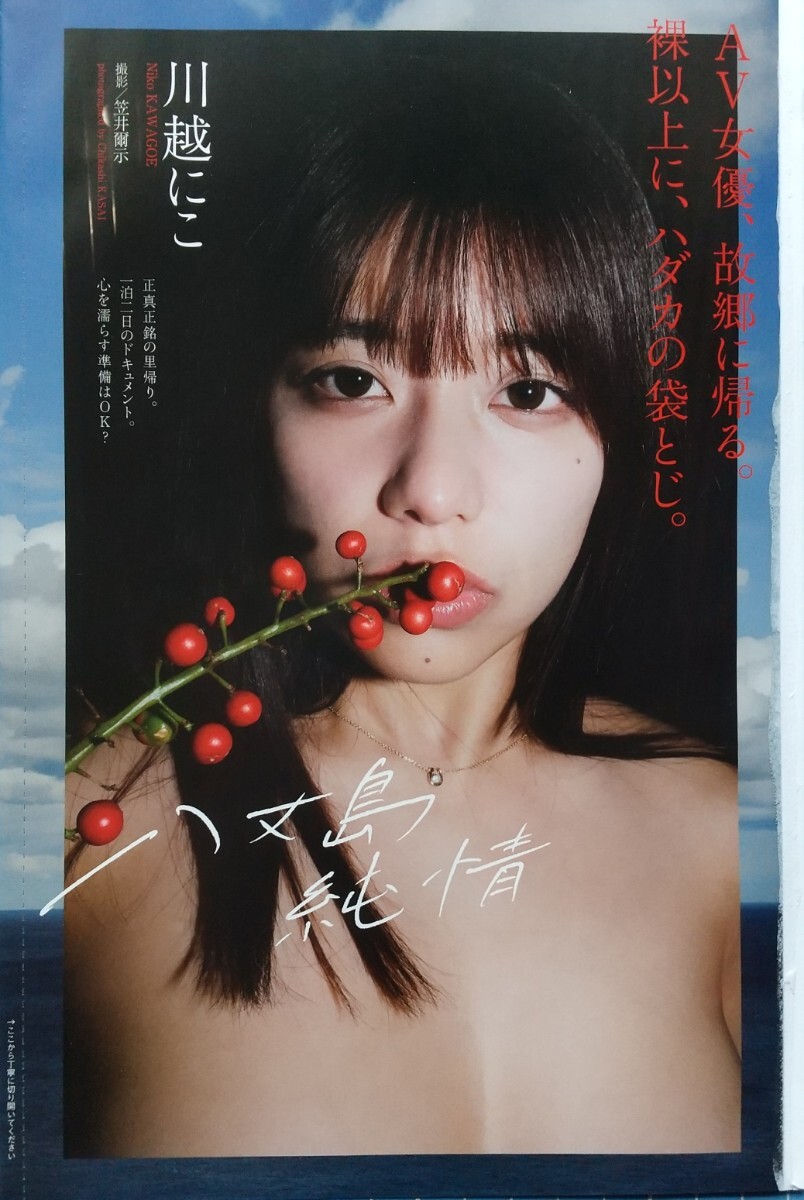 川越にこ 雑誌グラビア袋とじ 8P(その他)｜売買されたオークション情報、yahooの商品情報をアーカイブ公開 - オークファン（aucfan.com）