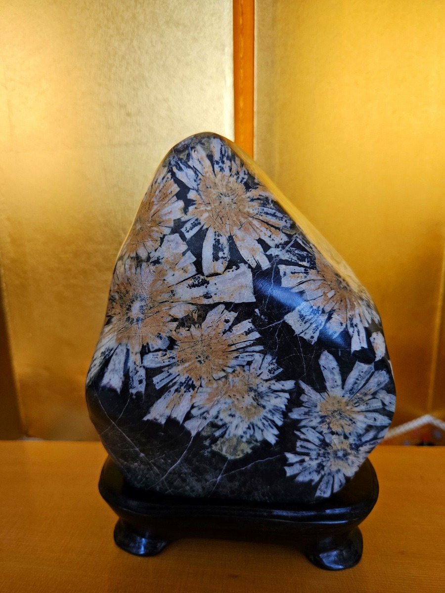 Yahoo!オークション - (最終値下げ致しました ) 根尾産 菊花石 黄金花 ...