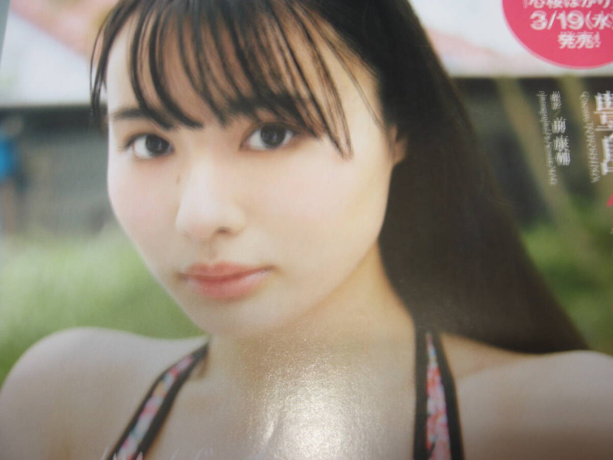 Yahoo!オークション - 豊島心桜 切り抜き22p