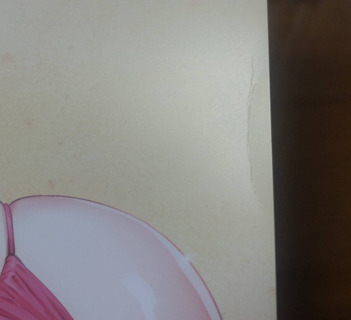 最終 咲 Saki 26巻 シノハユ 18巻 怜 Toki 12巻 とらのあな 特典 お風呂ポスター セット 小林立 五十嵐あぐり めきめき(その他)｜売買されたオークション情報、yahooの ...