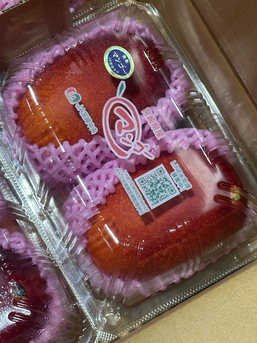 Yahoo!オークション - 宮崎県産 完熟マンゴー 約5.4kg 9パック アップ...