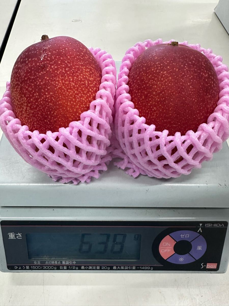 Yahoo!オークション - 宮崎県産 完熟マンゴー 約5.4kg 9パック アップ...