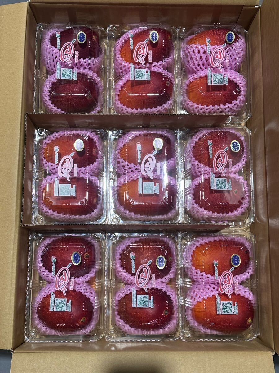 Yahoo!オークション - 宮崎県産 完熟マンゴー 約5.4kg 9パック アップ...