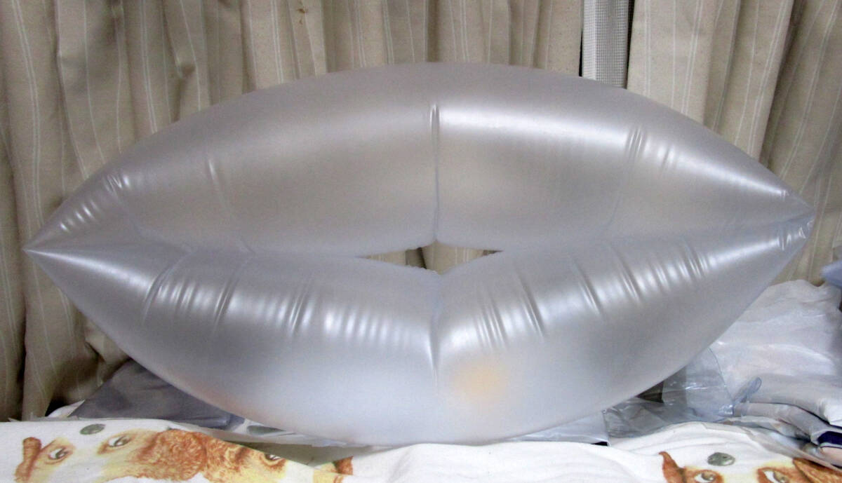 Yahoo!オークション - 【 A255】変わった形状の空ビ 30cmx76c...