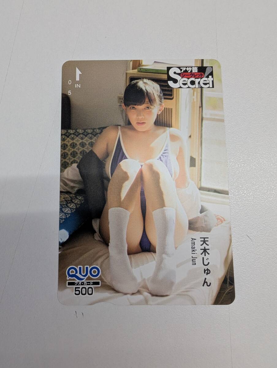 Yahoo!オークション - T06-2538 天木じゅん アサ芸シークレット 未使用...