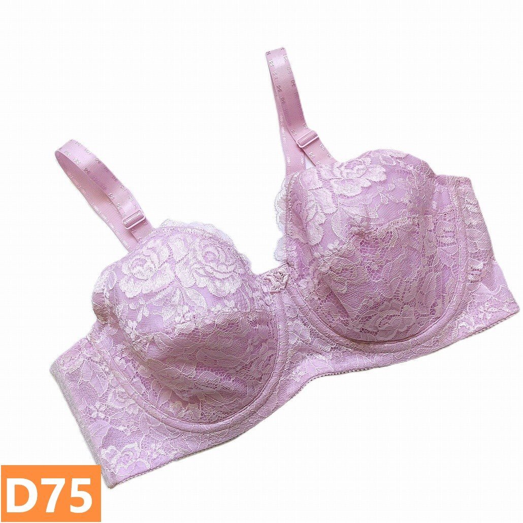 Yahoo!オークション - シャンデール ブラジャー D75 ニュー柄 エレガン...