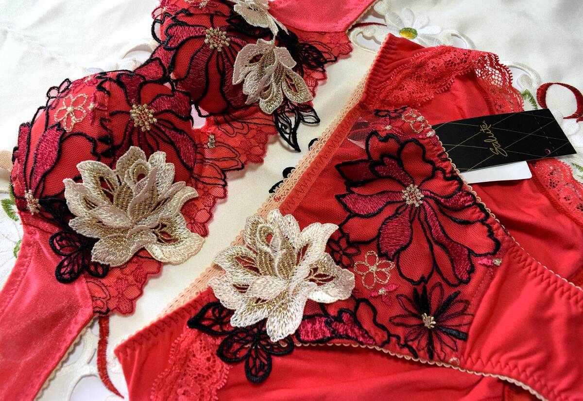 Yahoo!オークション - 新品・タグ付き ワコール サルート 96G・プラ...