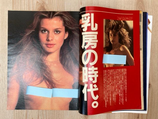 Yahoo!オークション - BRUTUS ブルータス 1991/9/1 乳房の時代 団鬼六 ...