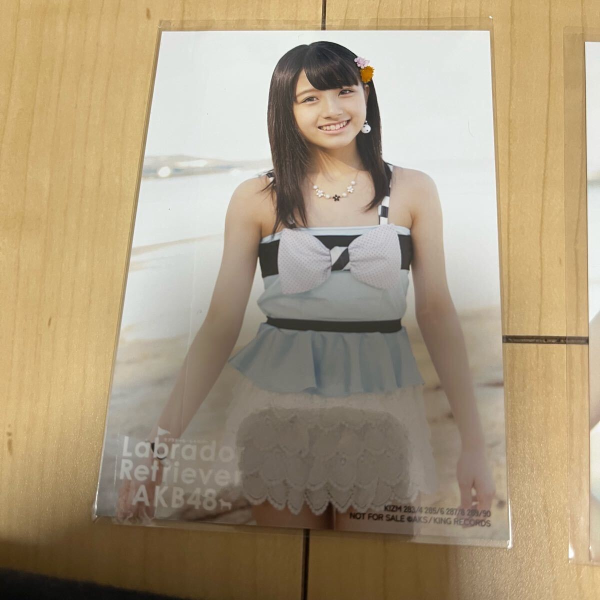大和田南那 ラブラドール レトリバー 通常盤 生写真 ＜水着ver＞ AKB48 ②(AKB48)｜売買されたオークション情報、yahooの商品情報をアーカイブ公開 - オークファン ...