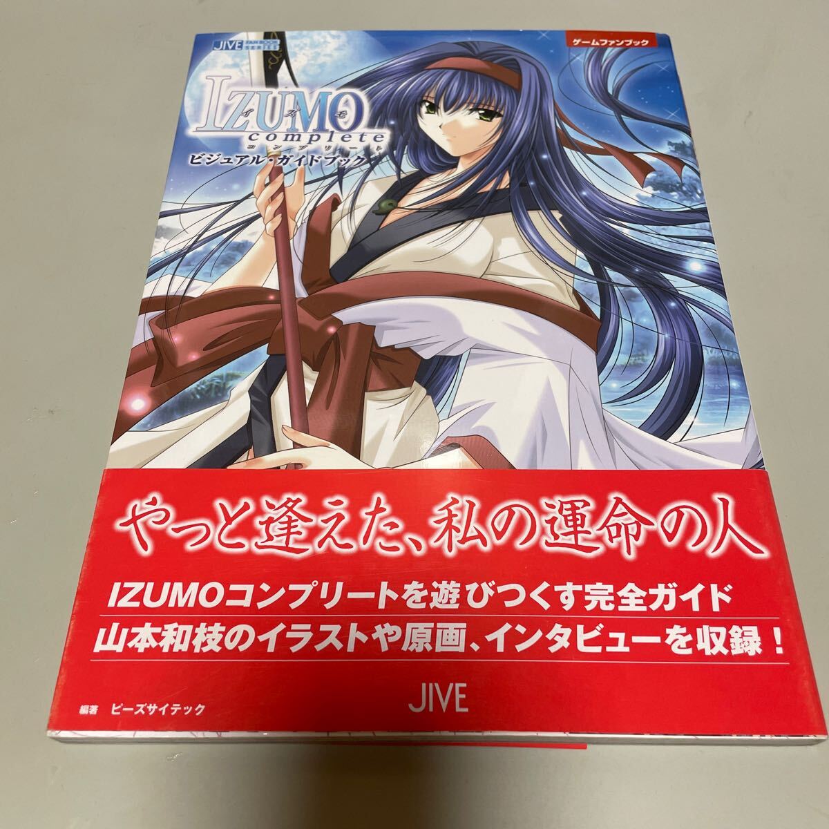 Yahoo!オークション - 即決 Izumo コンプリート ビジュアル・ガイドブ...