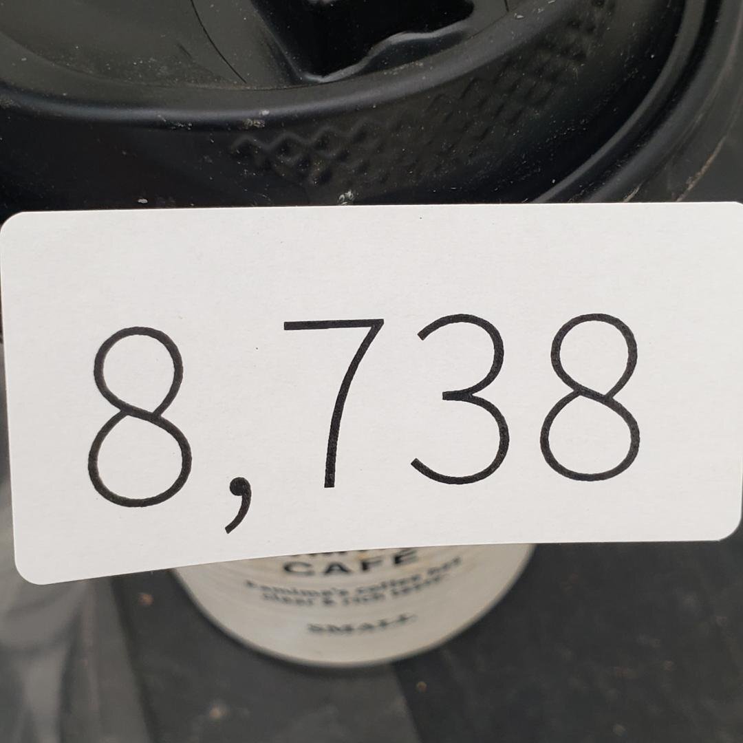 8738 塊根植物 ペラルゴニウム ミラビレ 折れ枝抜き苗 mirabile 芽吹き 畑地植え株 発根実績株 根は落ちます(観葉植物)｜売買されたオークション情報、yahooの商品情報を ...