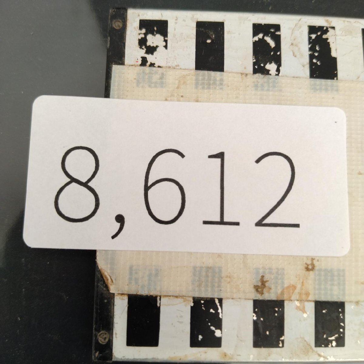 Yahoo!オークション - 8612 「多肉植物」ユーフォルビア キリンドリフ...