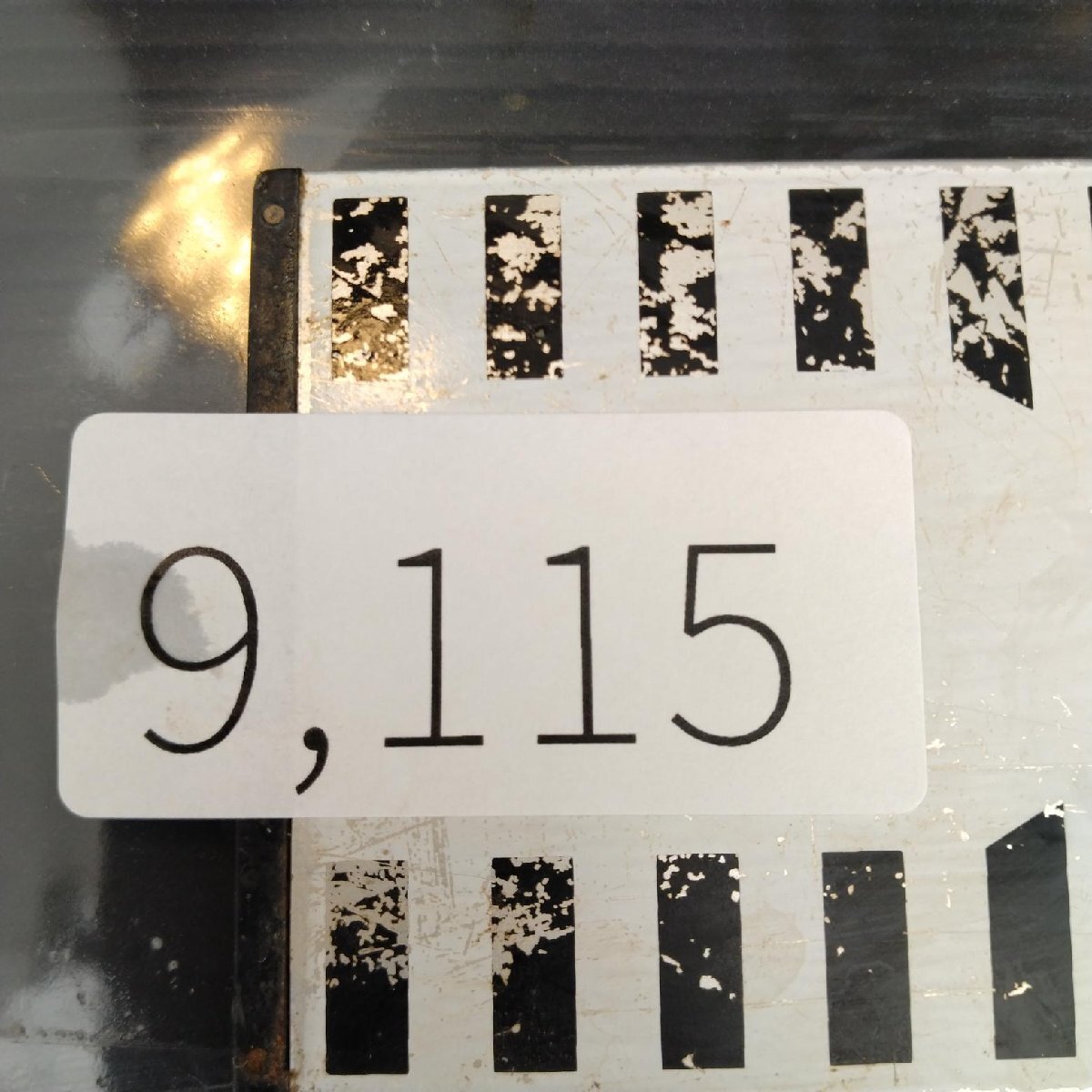 Yahoo!オークション - 9115 「塊根植物」パキポディウム グラキリス 抜...