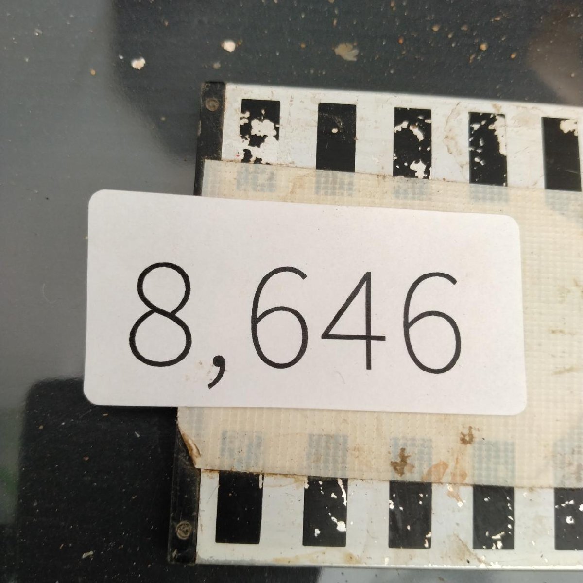 Yahoo!オークション - 8646 「球根植物」ブーファン ハエマンソイデス ...