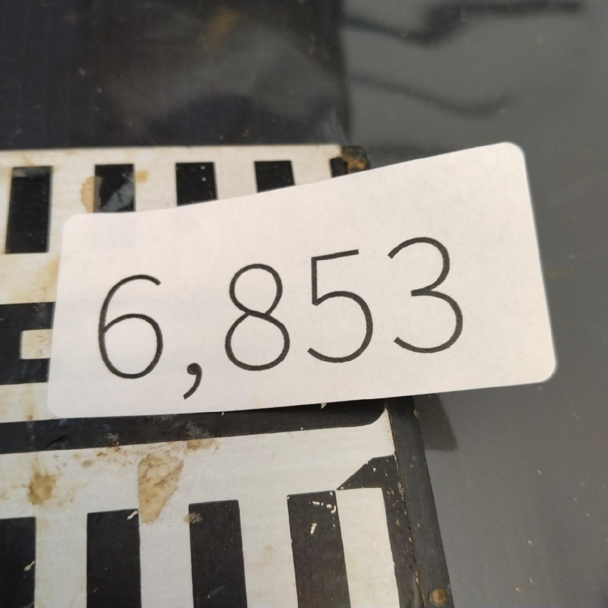 Yahoo!オークション - 6853 「塊根植物」パキポディウム グラキリス L ...