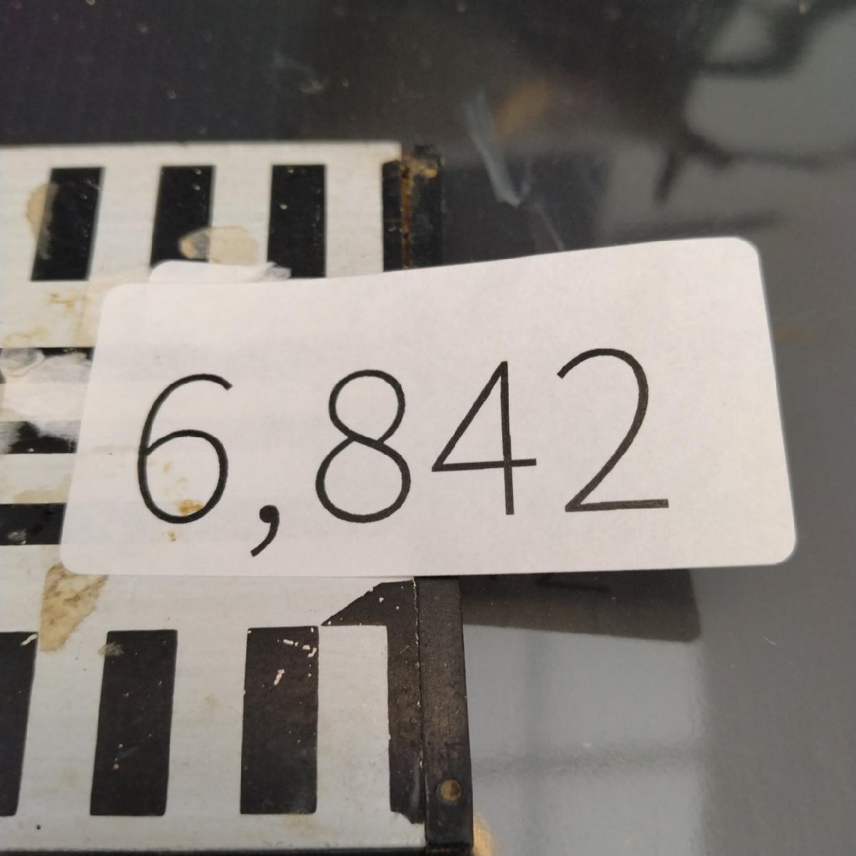 Yahoo!オークション - 6842 「塊根植物」パキポディウム グラキリス L ...