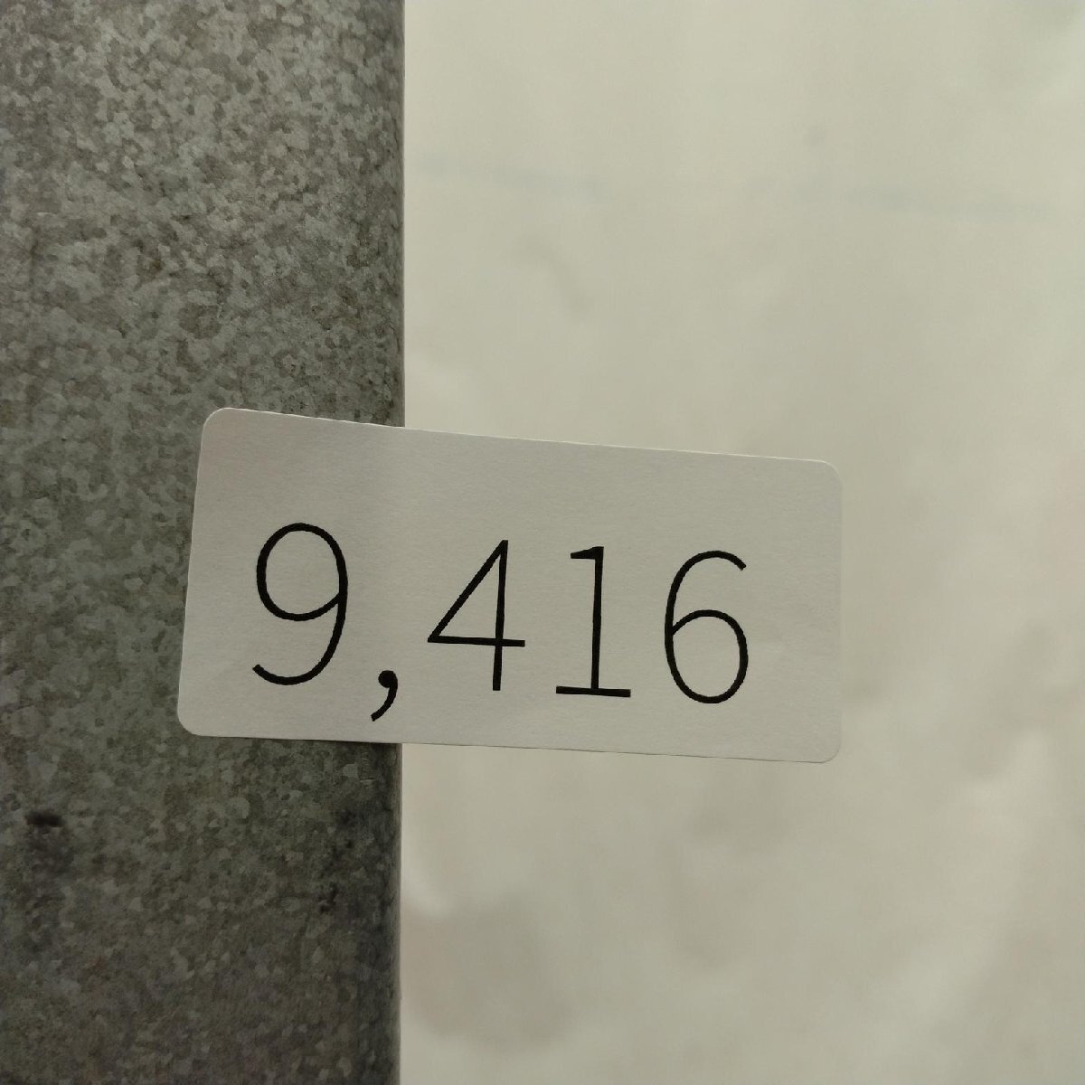 Yahoo!オークション - 9416 「エアプランツ」tillandsia hildae 抜き苗...