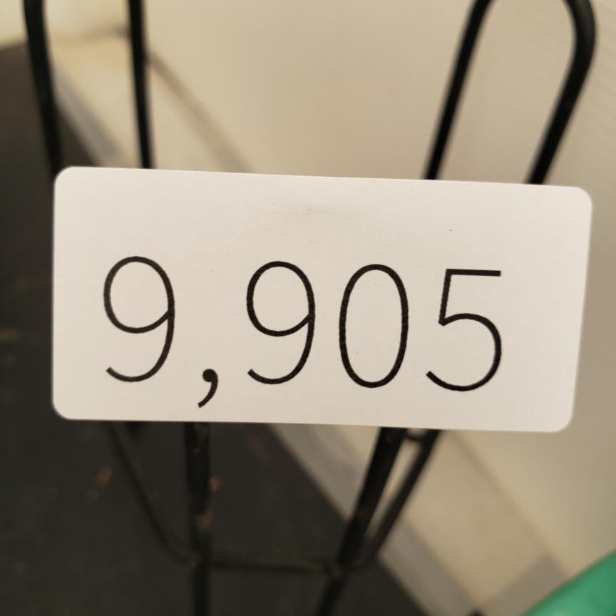 Yahoo!オークション - 9905 「塊根植物」パキポディウム イノピナツム ...