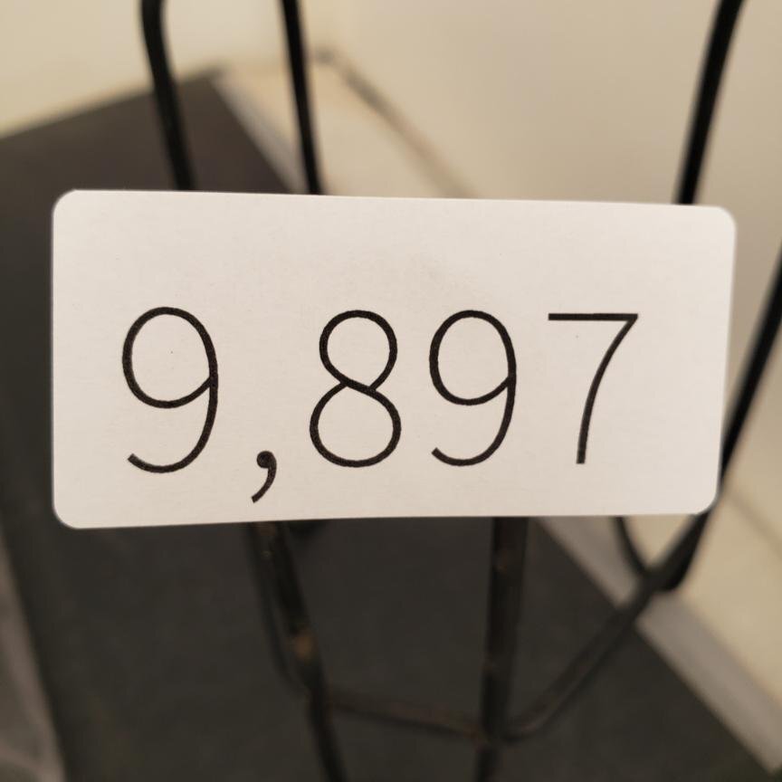 Yahoo!オークション - 9897 「多肉植物」ユーフォルビア ギラウミニア...