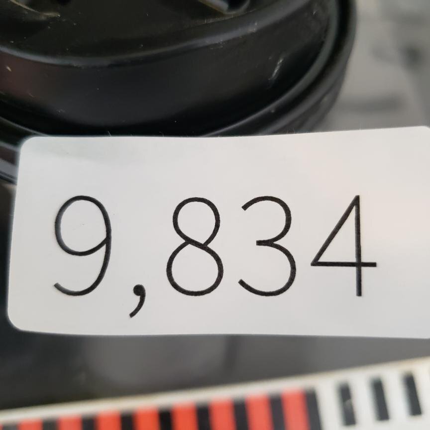 9834 塊根植物 アデニウム アラビカム ドワーフ 植え 発根 adenium arabicum dwaf 美株 多肉植物(観葉植物)｜売買されたオークション情報、yahooの商品情報を ...