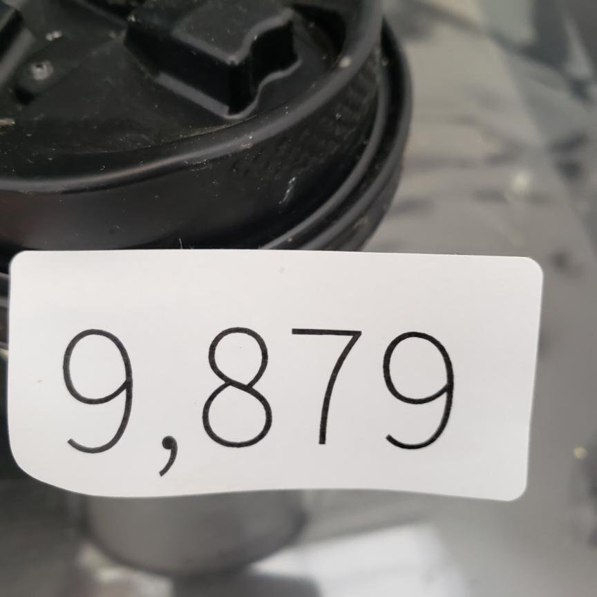 Yahoo!オークション - 9879 「塊根植物」メストクレマ 植え【発根未確...