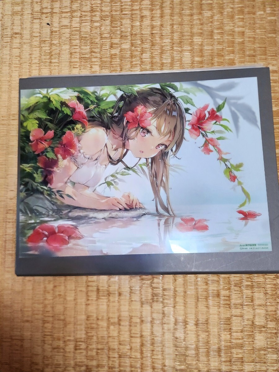 Yahoo!オークション - Anmi先生 新作版画展 A4サイズ クリアポスター ...