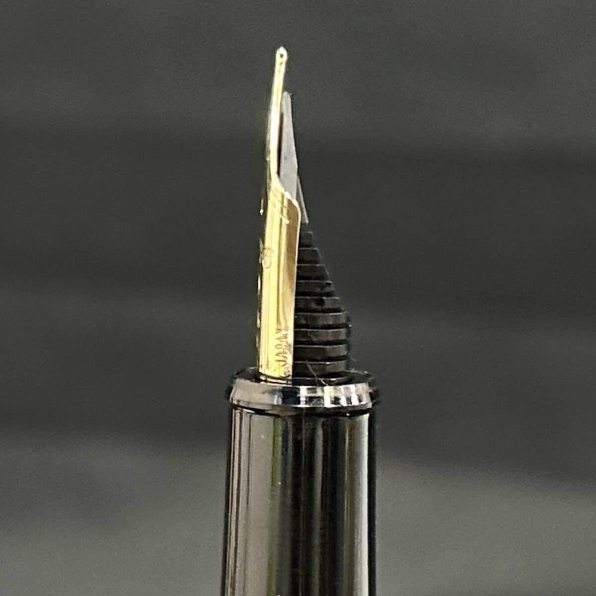 Yahoo!オークション - 25国/A066990-2/NS5000/C061-308/ 万年筆 PLATIN...