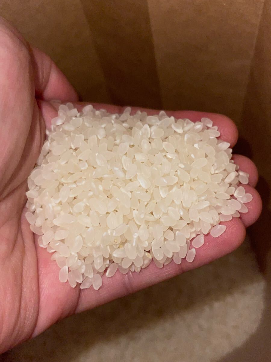 Yahoo!オークション - R6年 【農家直送】 新潟県岩船産コシヒカリ10kg ...