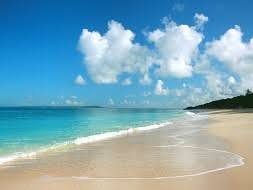 Yahoo!オークション - 84651+651