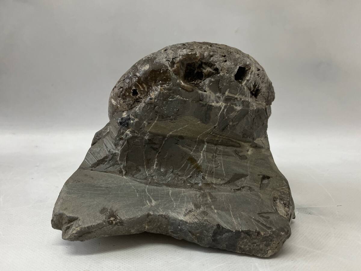 【樂淘letao】日本代購代標第一品牌－日本の化石 アンモナイト 北海道 約12cm×9cm×12cm 重量1170g 管理AM008