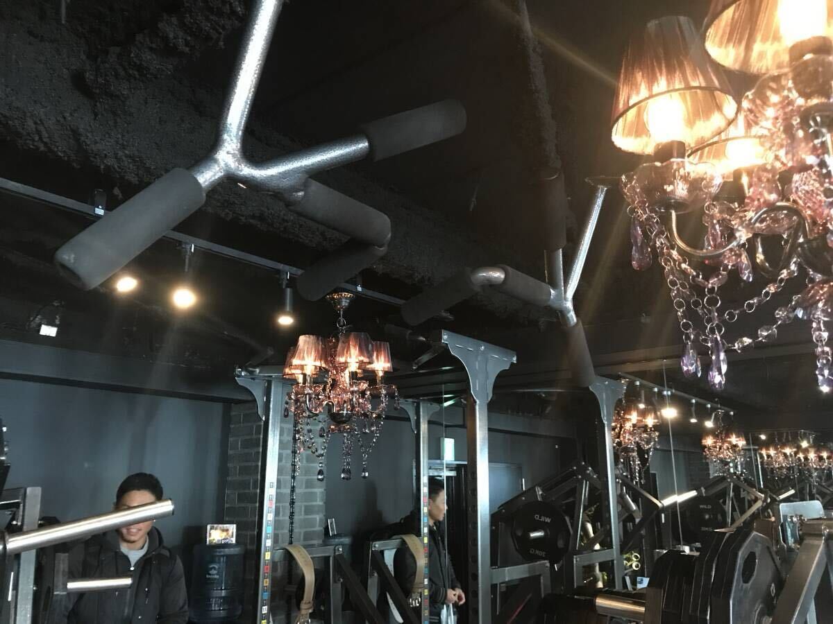 Yahoo!オークション - 【引取り限定】ENSAYO JAPAN アイソラットプルロ...