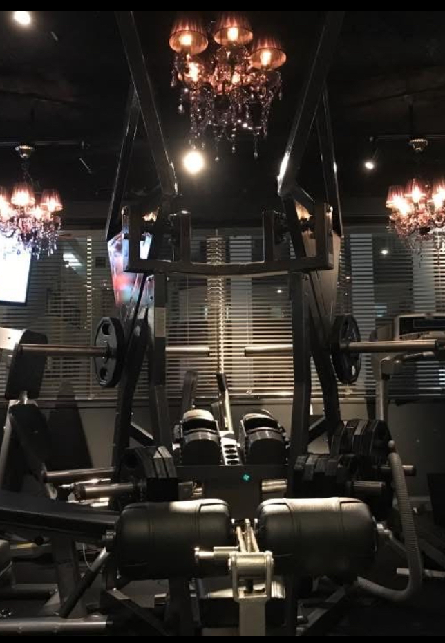 Yahoo!オークション - 【引取り限定】ENSAYO JAPAN アイソラットプルロ...