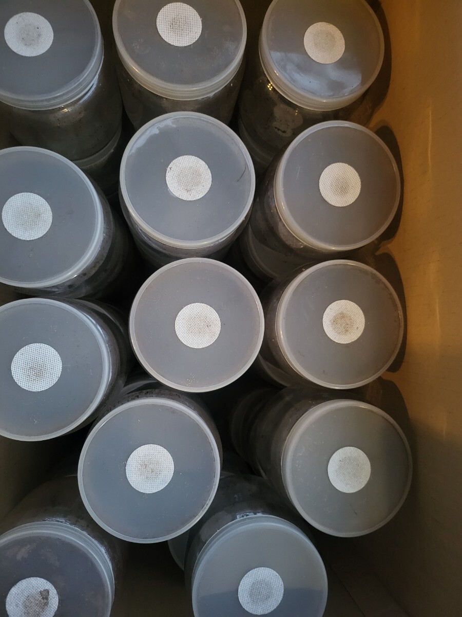 Yahoo!オークション - クリアボトル 1400ml 52本セット