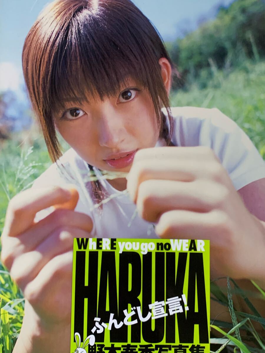 野本春香 写真集 HARUKA ふんどし宣言(その他)｜売買されたオークション情報、yahooの商品情報をアーカイブ公開 - オークファン（aucfan.com）