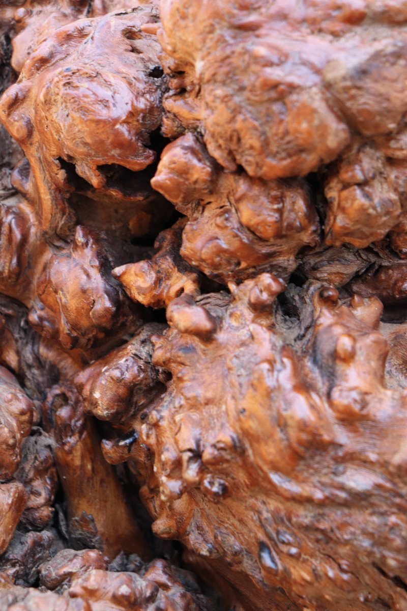 Yahoo!オークション - E518 超瘤付欅置物 ケヤキ 飾り木 重さ約28.4kg ...