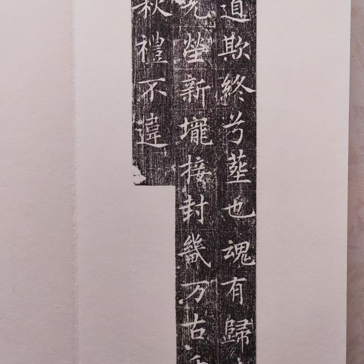 Yahoo!オークション - C326旧家収蔵 隋童真墓誌 唐陸墓誌 拓本 宣紙 冊...