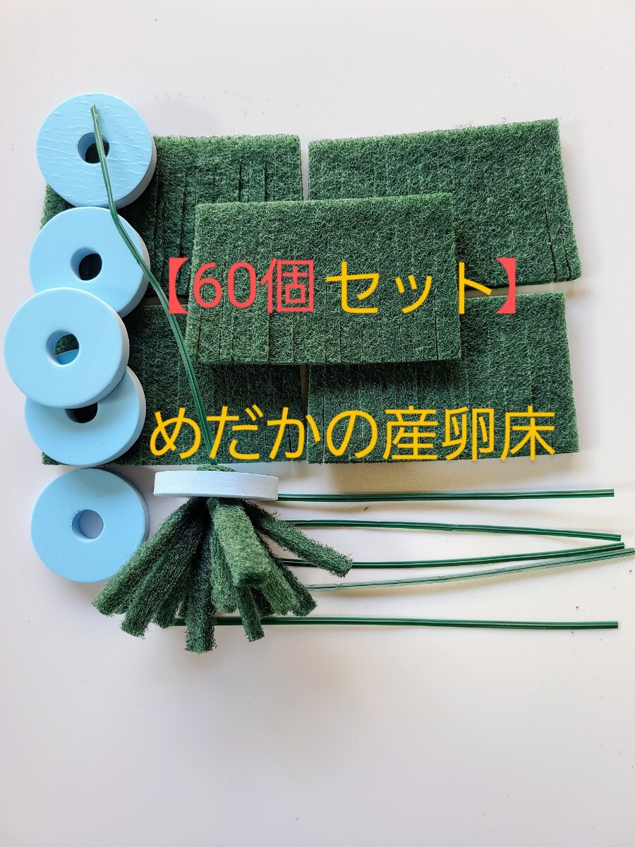 Yahoo!オークション - 【60個セット】めだかの産卵床 60個セット 【メ...