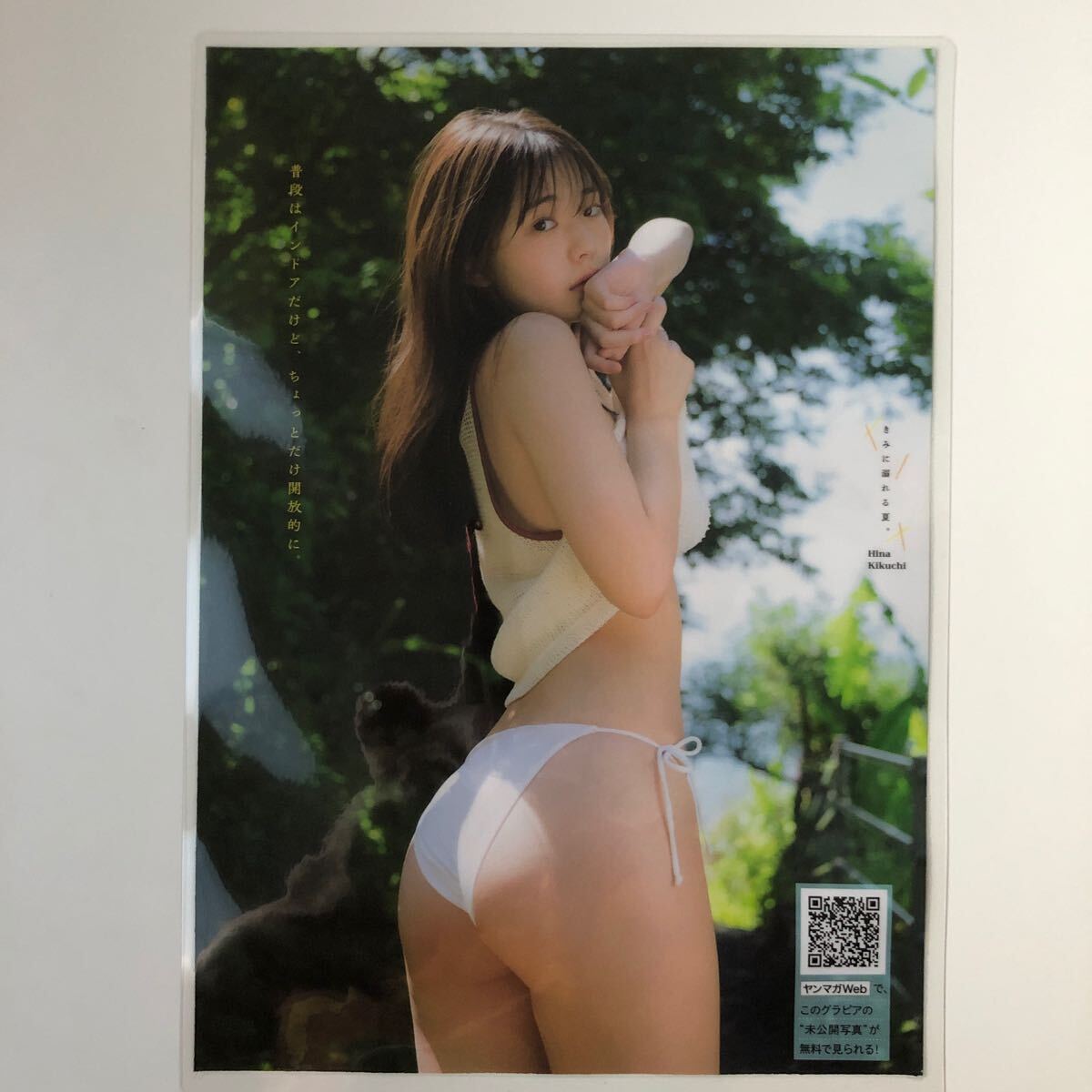Yahoo!オークション - 菊地姫奈 ヤングマガジン2023.7.31 B5 9pラミネ...
