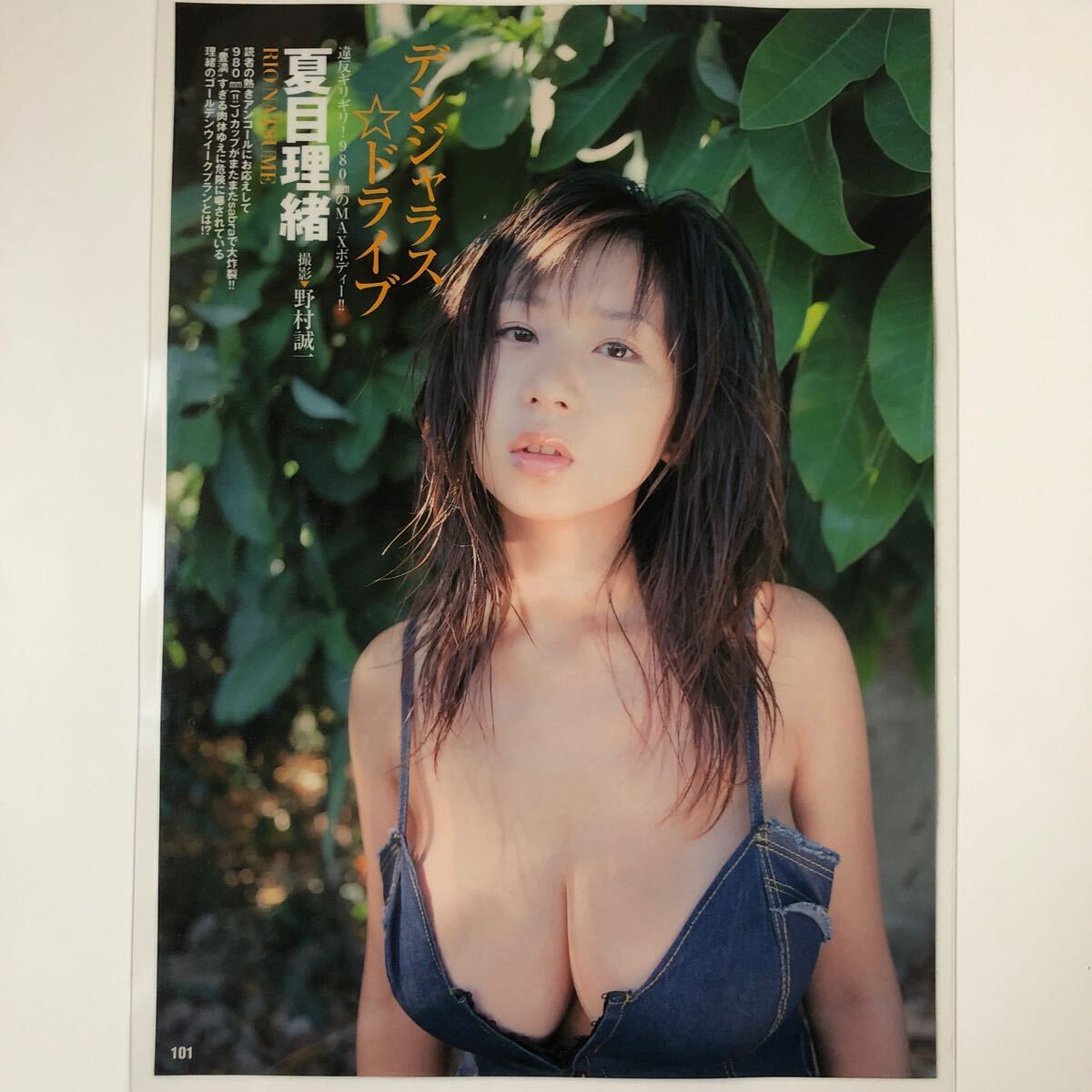 Yahoo!オークション - 夏目理緒 サブラ2004.5.13 A4 5p 厚手ラミネート...