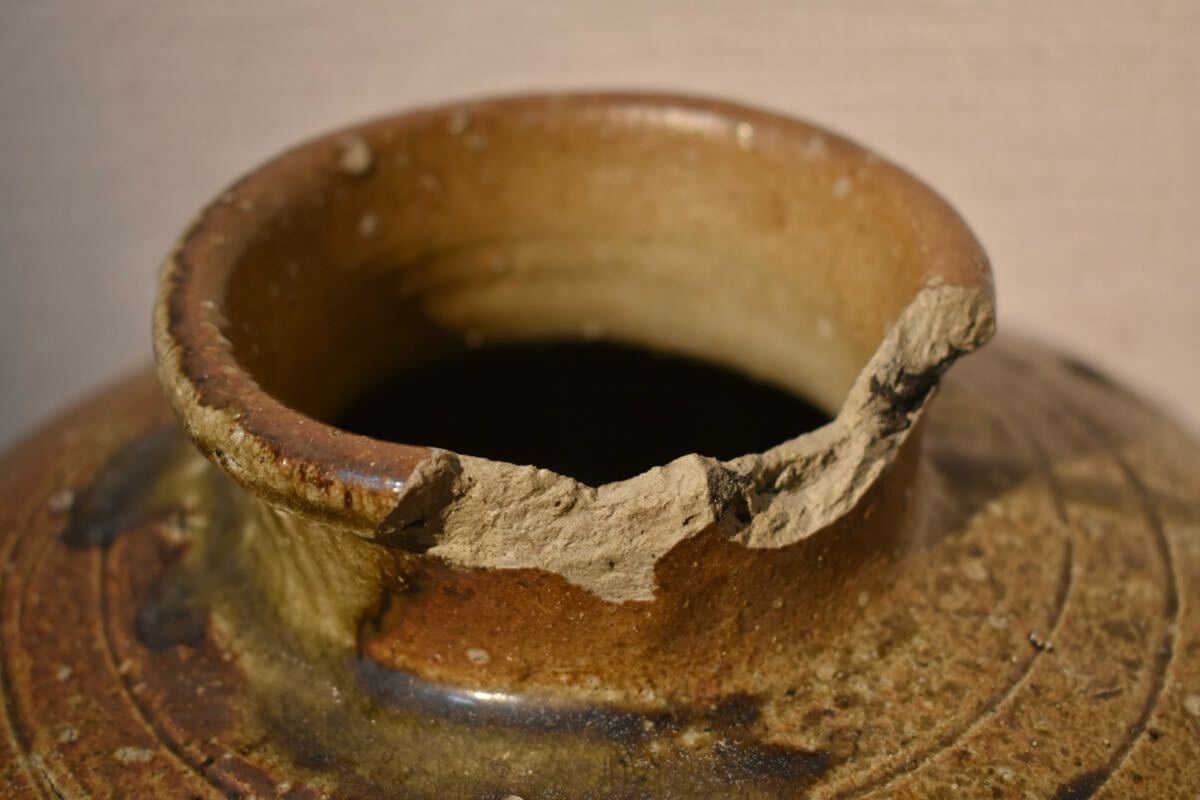 Yahoo!オークション - 【GE】Y1116【コレクター所蔵品】時代 信楽壺/日...